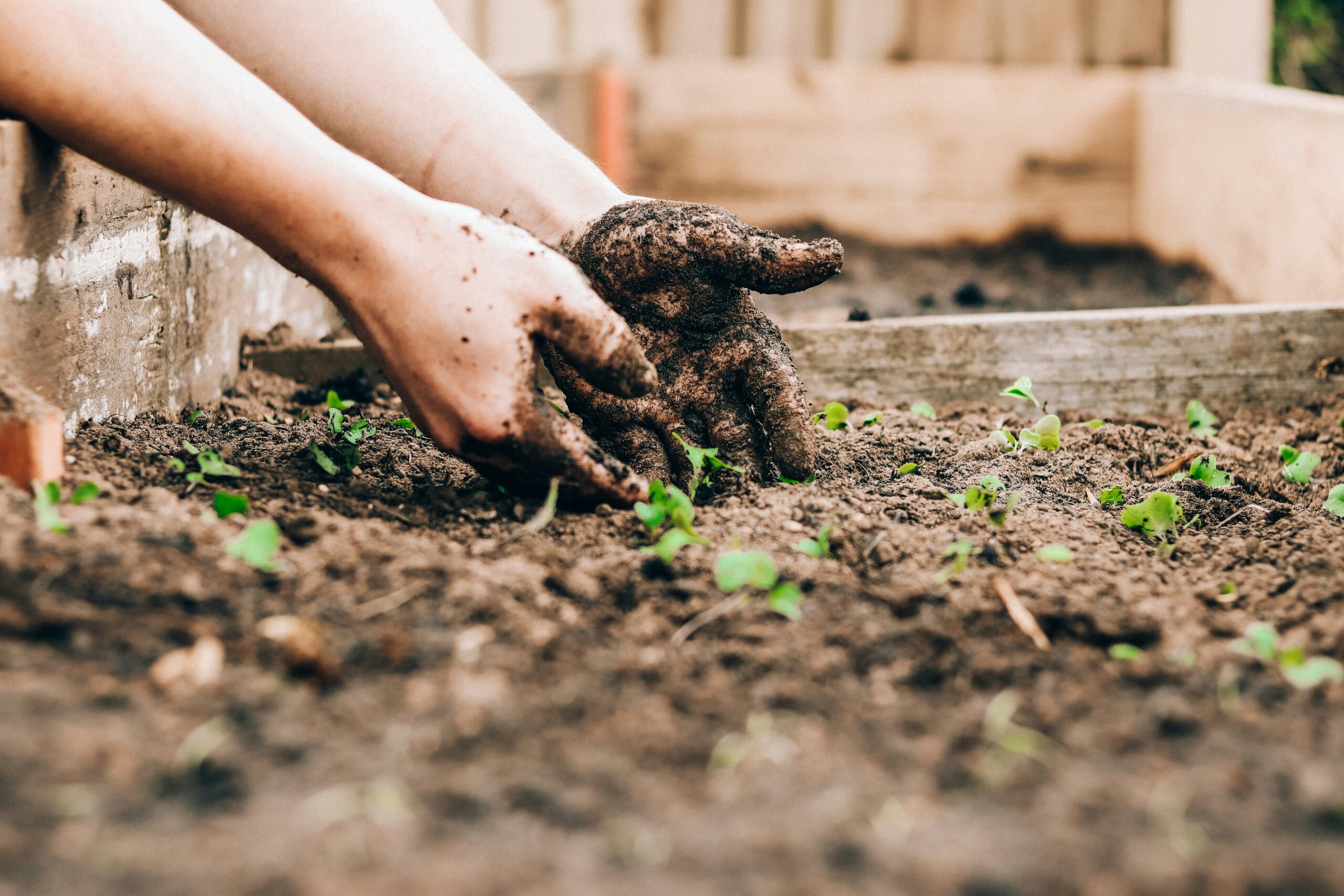 6 SIMPLE STEPS TO EASY GARDEN TRANSFORMATIONS ⋆ scandimummy.com